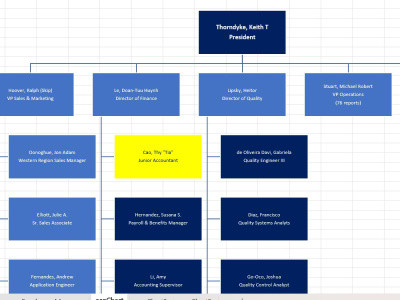 A fantastic organization chart generator | Upwork