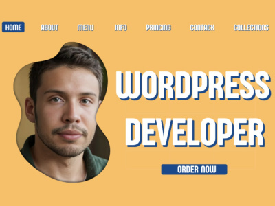 WordPress Designer, Developer, WordPress Website, WordPress Expert | Upwork