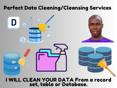 CRM Data Cleanup & Organization | Upwork
