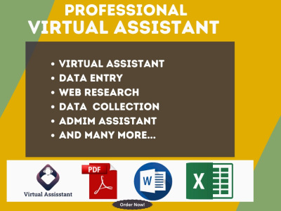 Virtual assistant for data entry, web research, virtual assistant | Upwork
