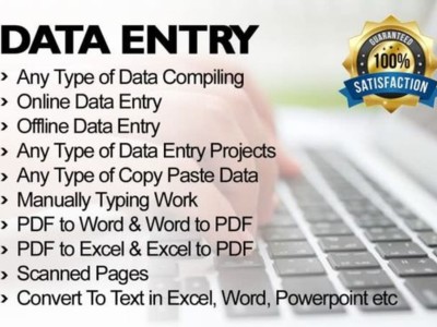 Data Entry Maestro Precision Typing and Excel Wizardry | Upwork