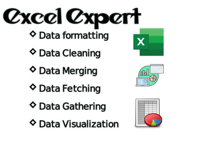 Data Analyst of Excel. Data Cleaning and Organizing Services | Upwork