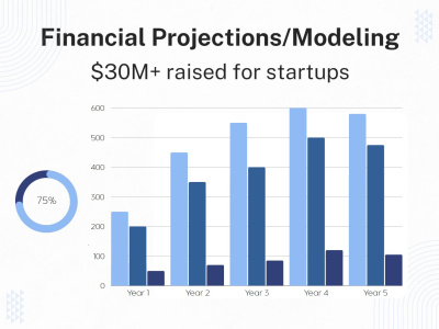 A customized financial model or financial plan that is ready for ...