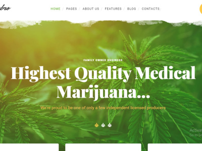 Design a weed website marijuana cannabis hemp cbd website online store ...