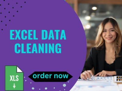 Excel data cleaning, excel data cleanup | Upwork