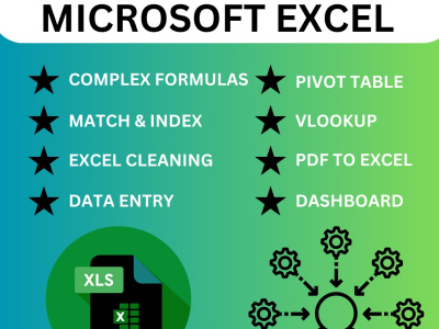 Fantastic excel data entry, data cleaning, formatting, formula solutions | Upwork
