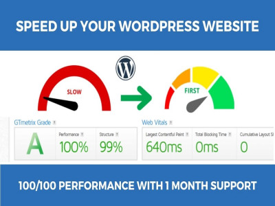 Speed up wordpress website for google pagespeed insights or core web vitals | Upwork
