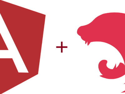 Web application based on Angular and Nest frameworks | Upwork