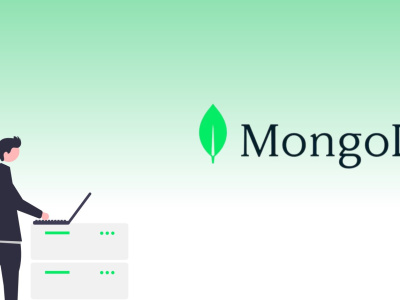 MongoDB Model Schemas for Your Projects | Upwork