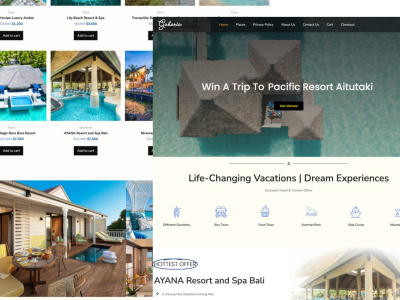 A high converting Wordpress website with beautiful user centered design | Upwork