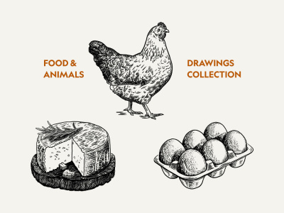 A custom high-quality line drawing | Upwork