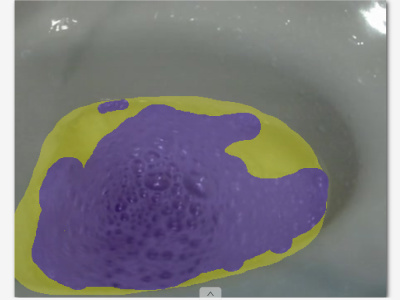 Accurate CVAT image annotation | Upwork