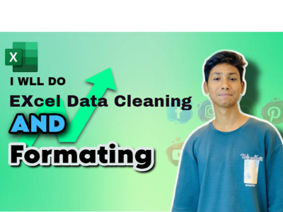 Excel data cleaning, formatting and fastest data entry | Upwork