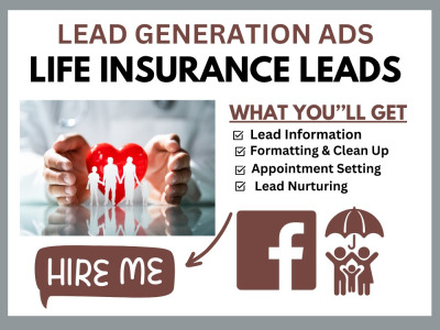 Exclusive life insurance, health insurance leads via ads campaign setup ...
