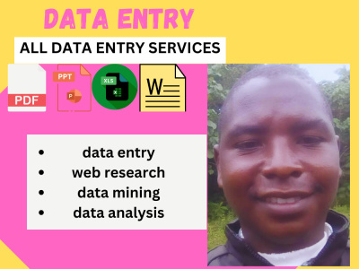 DATA ENTRY PROFESSIONAL SERVICES | Upwork