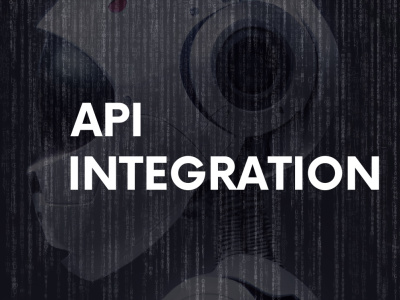 Any API Integration into your website | Vuejs | ReactJs | Upwork