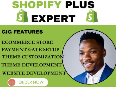 Shopify Plus Store Custom Development And Customization | Upwork