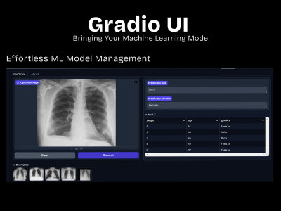 Gradio UI for Machine learning model | Upwork