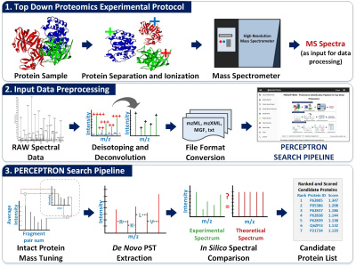 Bioinformatics Pipeline for Data Analysis | Upwork