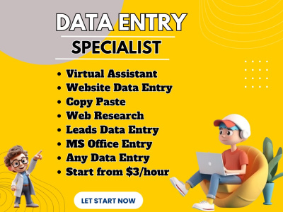 Fast data entry, web research, data collection, copy paste, and ...