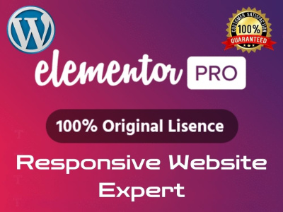 Professional Elementor Pro Website Design, WordPress Elementor Expert | Upwork