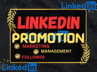 LinkedIn promotion / LinkedIn management / LinkedIn marketing / growth ...