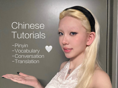 Personalised Chinese Tutorials and a new friend! | Upwork