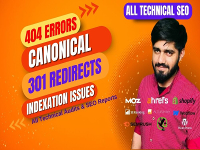 Resolved Canonical Issues, 404 Errors, Indexation Issue (GSC) & All ...