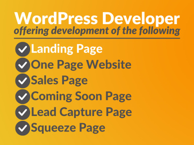 High converting lead capture WordPress Landing Page | Upwork