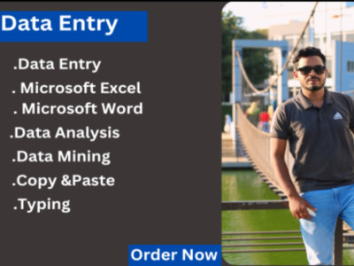 Fast and perfect data entry service | Upwork