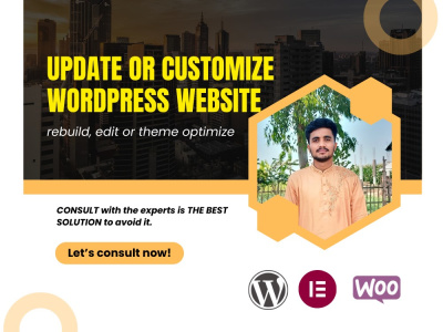 Rebuild website, theme, edit wordpress design, update or customize | Upwork