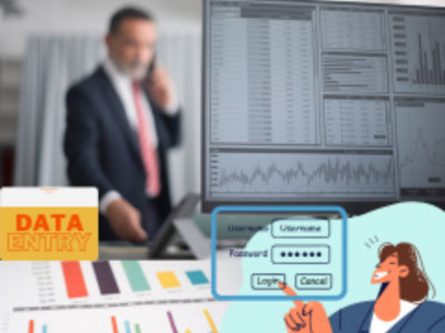 A Detailed Data Entry | Upwork