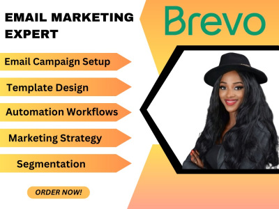 A professional brevo newsletter email template design automation ...