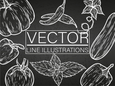 A vector line drawing with precise details delivered within 24 hours ...