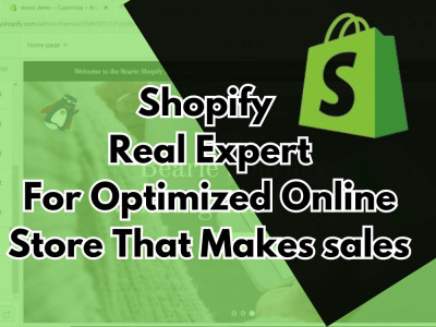 A revamped Shopify store and a fully set-up website. | Upwork