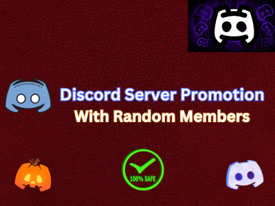 Professional setup for new or existing discord communities | Upwork
