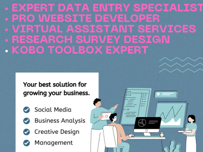 Expert Data Entry, Website Dev, questionnaire development with Kobo ...