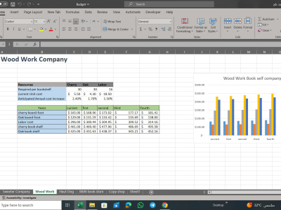 A professiona microsoft excel sheet | Upwork