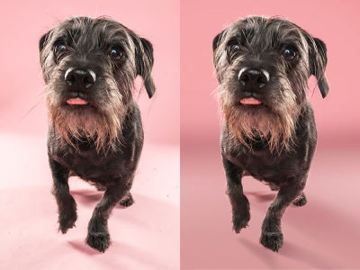 Perfect image retouch, product retouch, model retouch, background ...