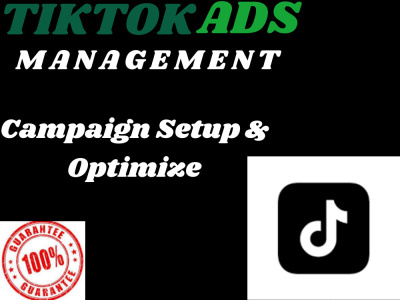 Setup tik tok ads campaign, tik tok ads, manage tik tok ads video | Upwork