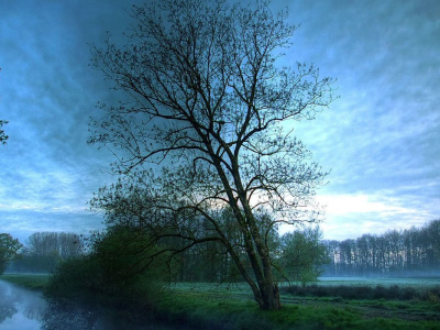 Website Html Css Javascript Upwork