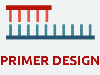Your custom primers or oligos for your pcr | Upwork
