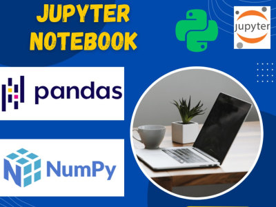 A well-designed Jupyter notebook for data analysis and visualization ...