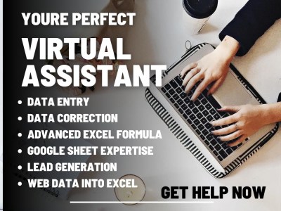 An accurate and faster data entry virtual assistant | Upwork