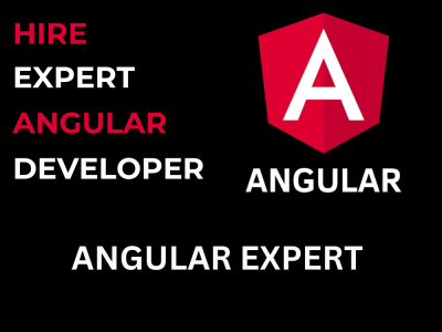 An Experienced Angular Developer | Upwork