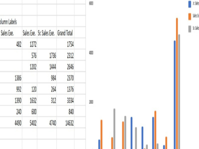 Data cleaning data visualization and analysis on ms excel | Upwork
