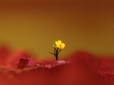 A 3d scene in your desired style | Upwork