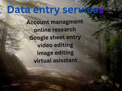 Precise data entry Services | Upwork