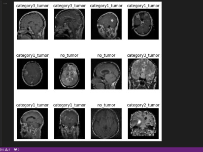 Image classification machine learning, CNN, Computer Vision in Python | Upwork