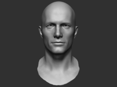 Sculpt 3d head bust, realistic face, 3d bust model for 3d printing | Upwork